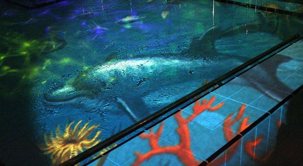 Maximising Learning with Sensory Circuits: Understanding the Benefits ...