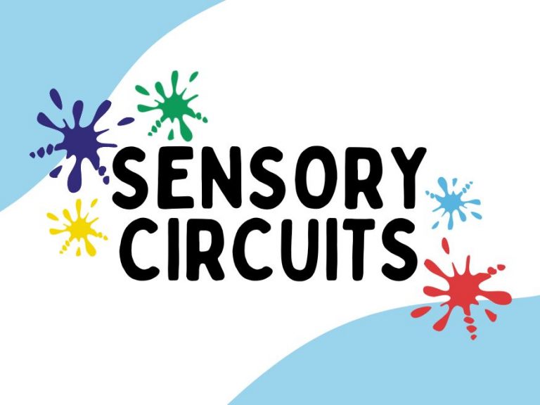 Maximising Learning with Sensory Circuits: Understanding the Benefits ...